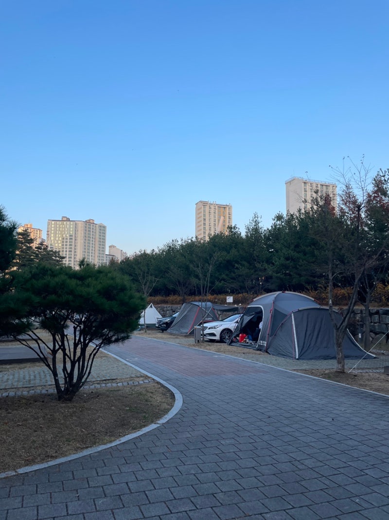 수원 캠핑장 수원 광교호수공원 가족캠핑장 17번구역 네스트w 탄 첫피칭 네이버 블로그