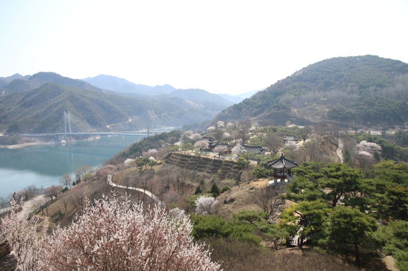 제천여행 가볼만한곳 청풍문화재단지 벚꽃and청풍호 네이버 블로그