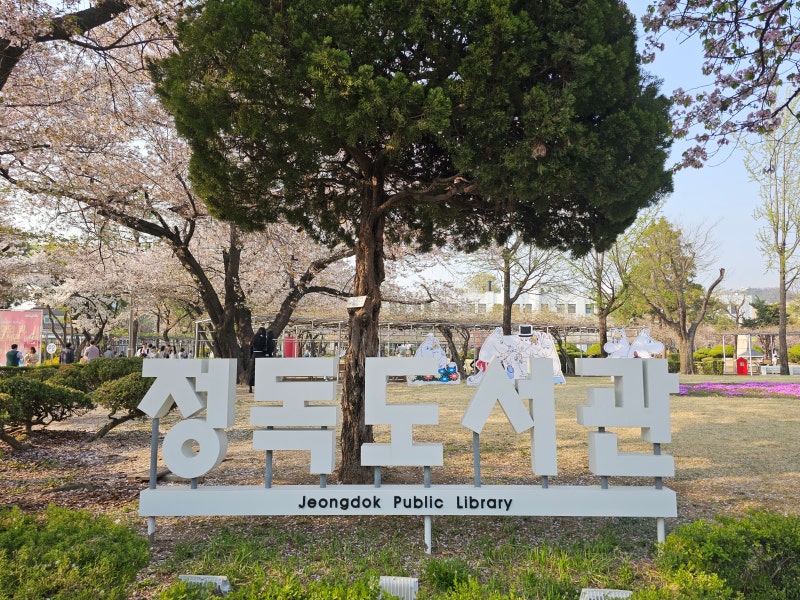 숨겨진 벚꽃 명소 정독도서관 주차부터 구내식당까지 꿀팁포함 네이버 블로그