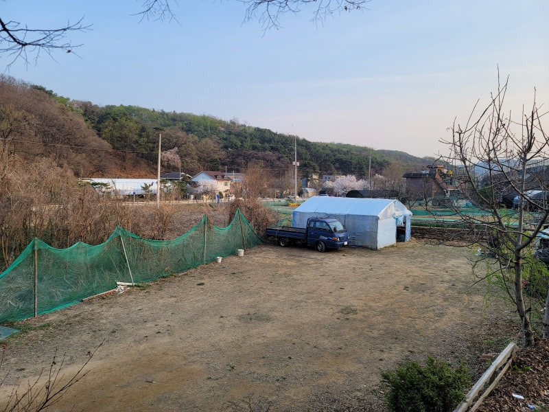 의왕 야외바베큐 정육식당 청계ok목장에서 캠핑기분 내고 옴 네이버 블로그