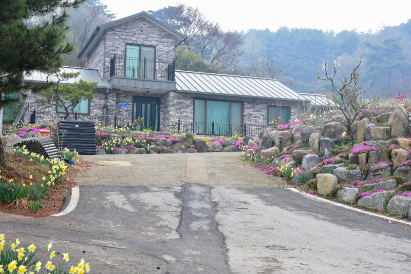 홍성 가볼만한곳 홍성거북이마을 수선화 벚꽃 충남 드라이브코스 네이버 블로그