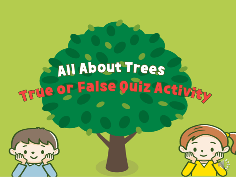 영어 파워포인트 수업자료 Arbor Day All about Trees True or False Quiz Activity 식목일 ...
