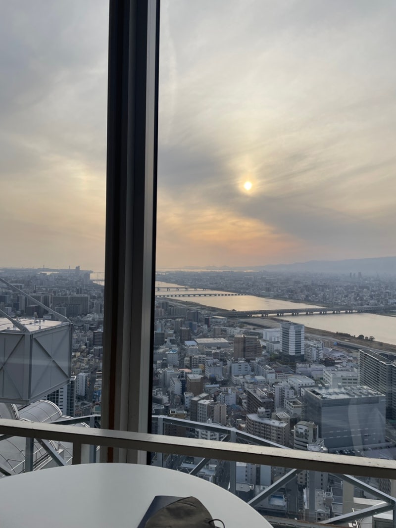 🇯🇵 일본오사카 3박4일 Day2 주유패스 일본버스 오사카벚꽃 오사카성 쿠아아이나 우메다 돈키호테 우메다 공중