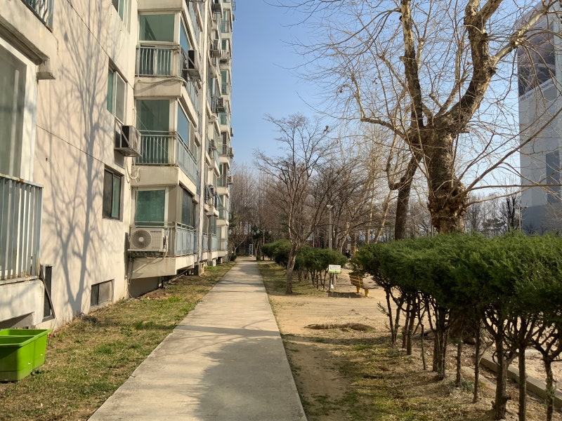 재재 사전조사 광진구광장동 자양동 구의동 네이버 블로그