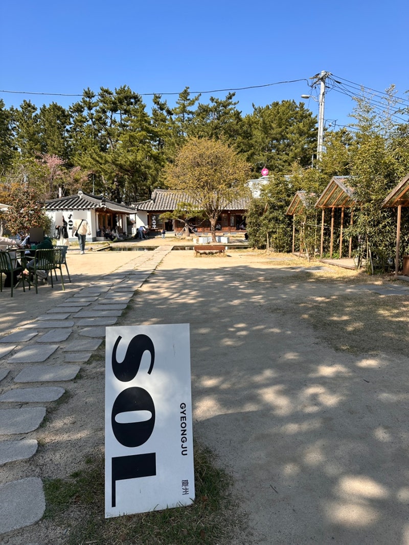 반려동물, 아이와 함께하기 좋은 경주 황리단길 카페솔, SOL : 네이버 블로그