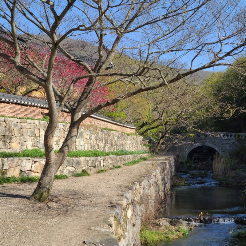 영광 쉼투어 : 네이버 블로그