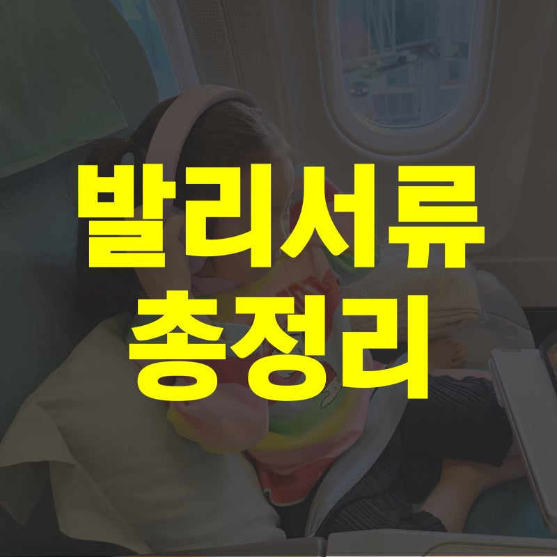 발리 서류 총정리 발리 도착비자 세관신고서 백신영문접종증명서 Q코드 And 발리 입국 조건 서류 심사 네이버 블로그