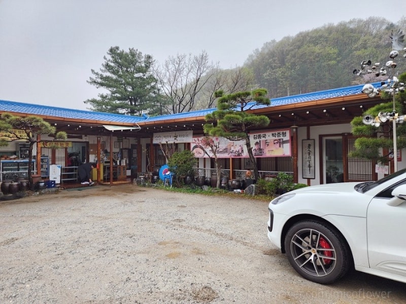 용인 고기리 계곡 백숙 맛집 장수촌 네이버 블로그