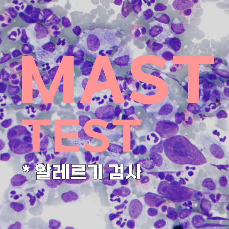 MAST 검사 알아보기 : 병원 검사항목 비용, 실비 가능여부 등 : 네이버 블로그