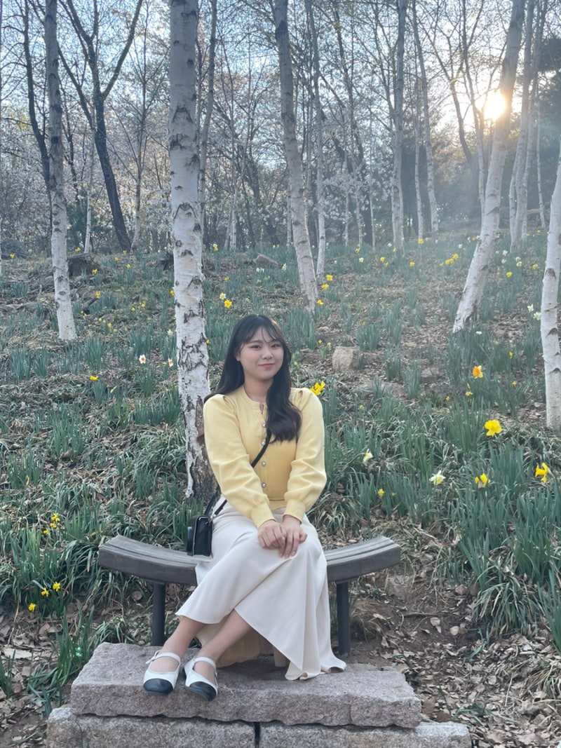 여행 벚꽃시즌 화담숲 화담숲 벚꽃구경 경기도 광주 드라이브 봄꽃명소 네이버 블로그