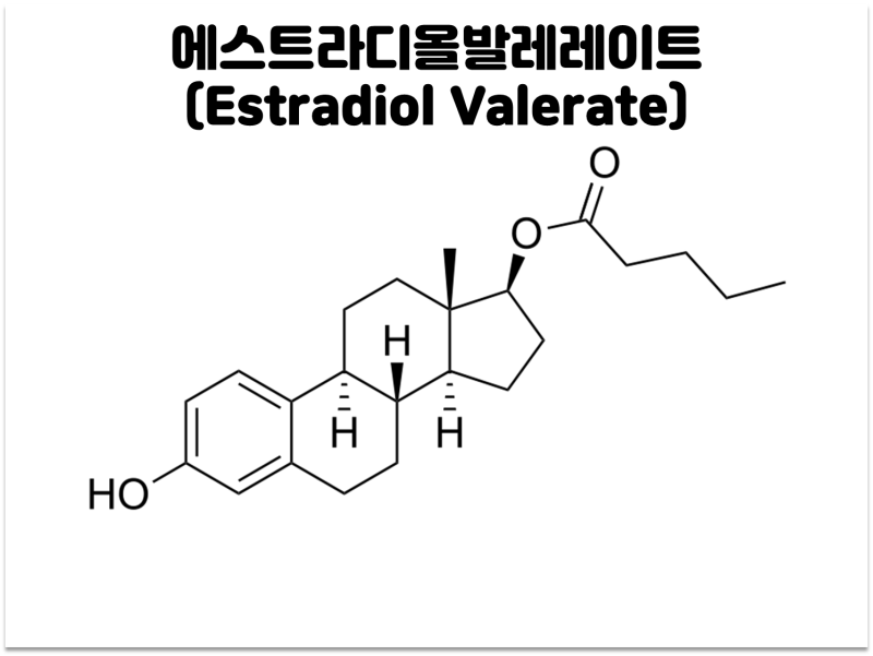 프로기노바 프로기노바28정 1mg 2mg 여성호르몬 에스트라디올 Estradiol 갱년기 폐경기 성분 효능 효과 복용법 부작용