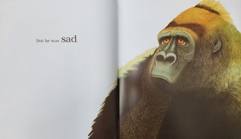 영어 그림책 추천 Little Beauty by Anthony Browne : 네이버 블로그
