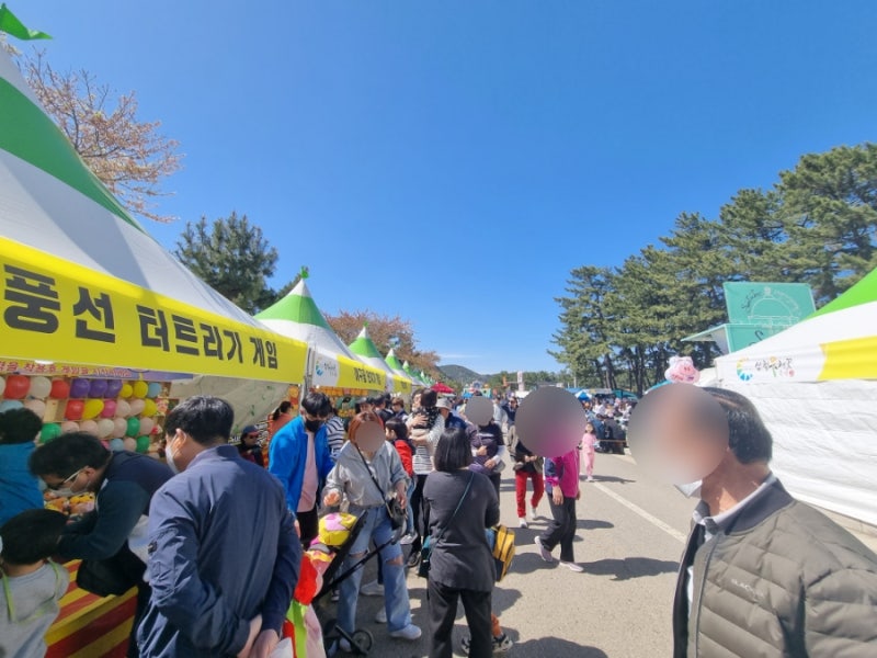 삼척 맹방 유채꽃축제 제대로 즐기다 네이버 블로그