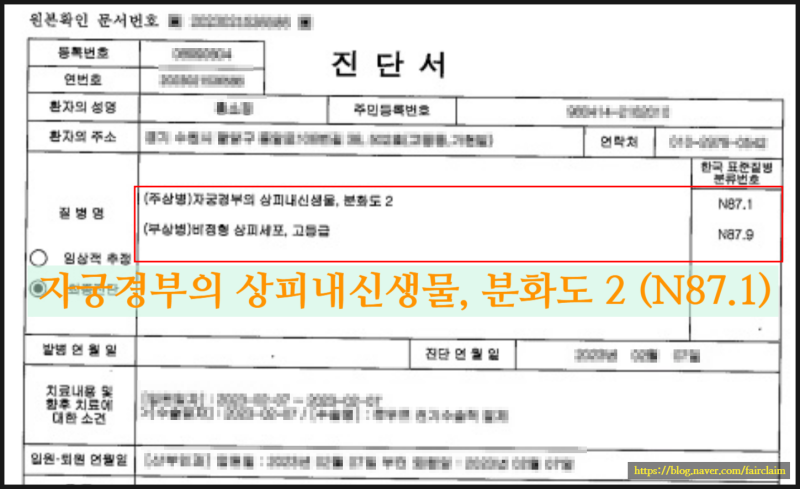 자궁경부의 상피내 신생물 분화도 2n871 제자리암 진단비 지급 가능성 확인하세요 네이버 블로그