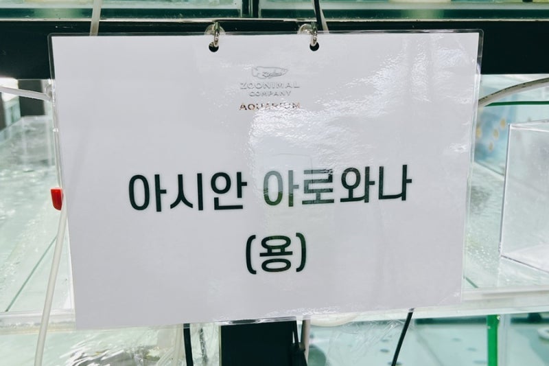 [수족관탐방] 서울 - 주니멀(ZOONIMAL) : 네이버 블로그