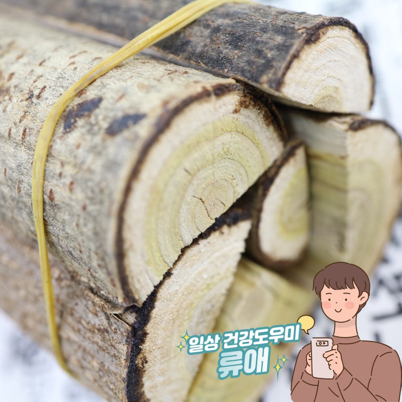 옻효능 및 옻 알레르기 대처 방법 옻닭옻나무 등 다양한 옻의효능 네이버 블로그