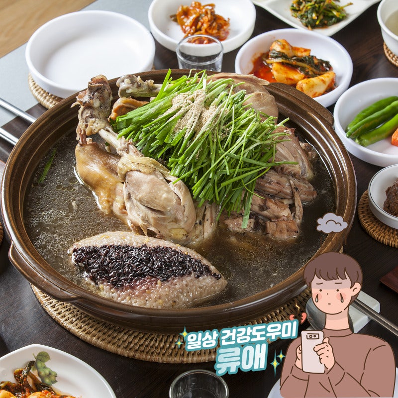 옻효능 및 옻 알레르기 대처 방법 옻닭옻나무 등 다양한 옻의효능 네이버 블로그
