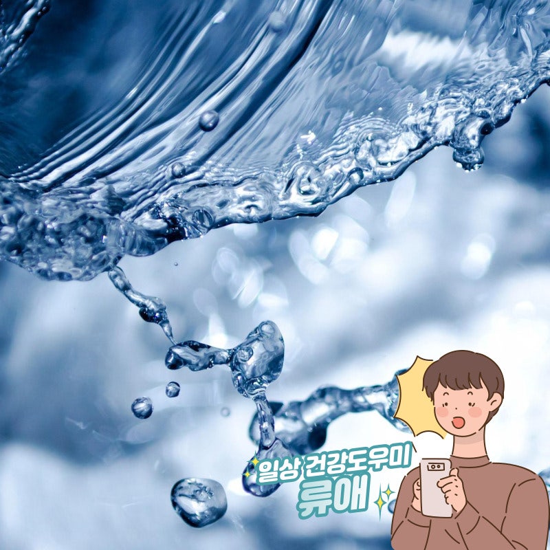 신부전증 증상급성만성말기 및 치료 신장에 좋은 음식 Vs 나쁜 음식 식단 알아보기 네이버 블로그