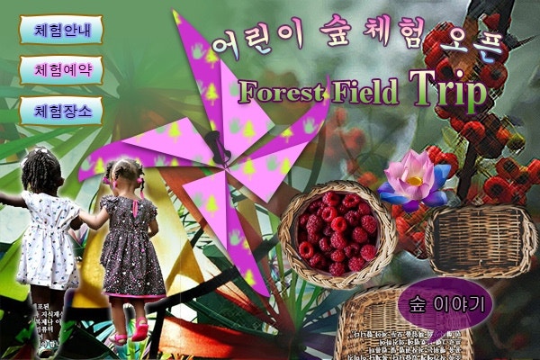 GTQ 1급 ( 포토샵 , 일러스트 ) 합격 후기 ⋆⁺₊⋆♥ + 설명, 꿀팁, 기출문제, 성적 💗 : 네이버 블로그