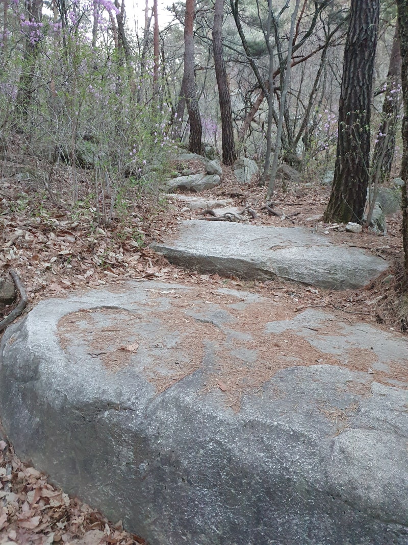 충청북도 괴산 칠보산 등산코스 큰바위코스 최단코스 주차정보 네이버 블로그