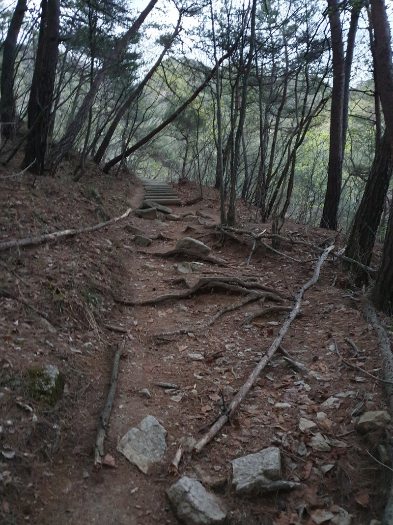 충청북도 괴산 칠보산 등산코스 큰바위코스 최단코스 주차정보 네이버 블로그