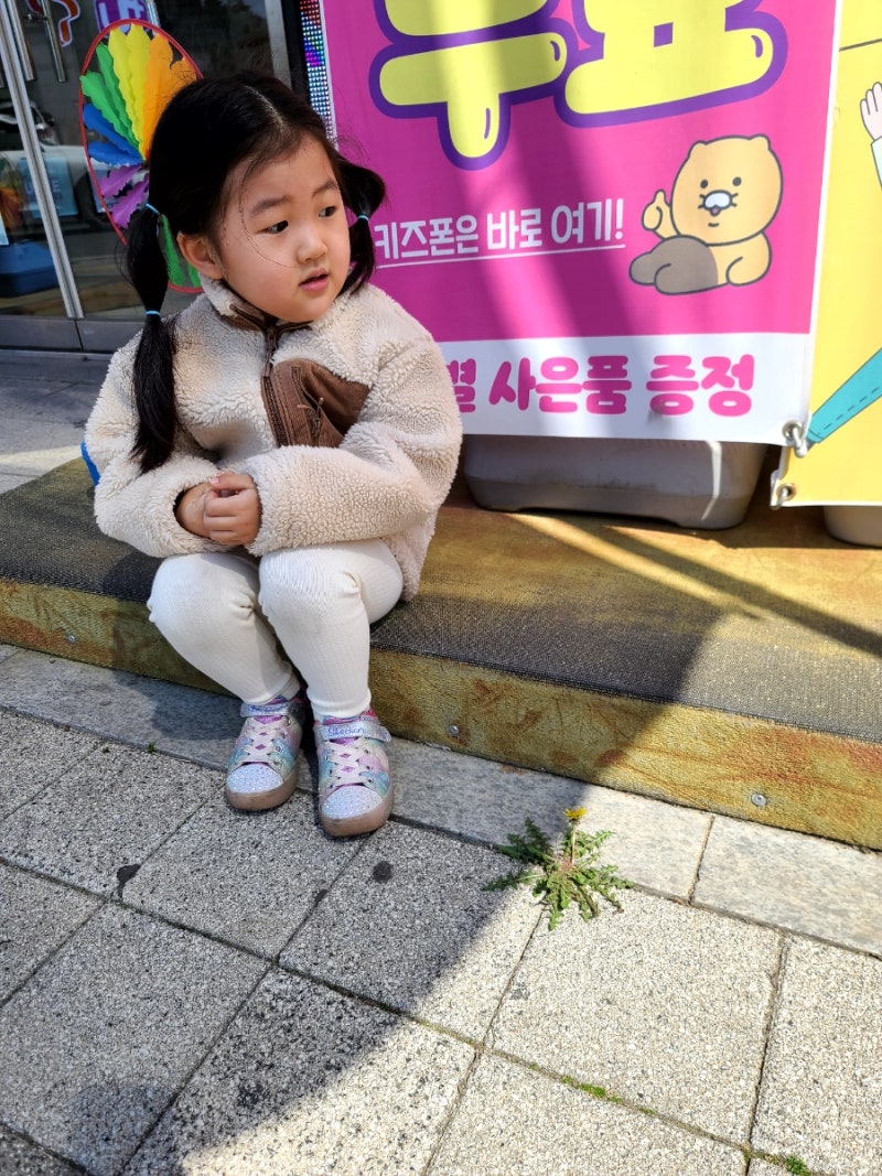 민들레는 민들레 그림책 읽고 독후활동 민들레의 한살이 네이버 블로그