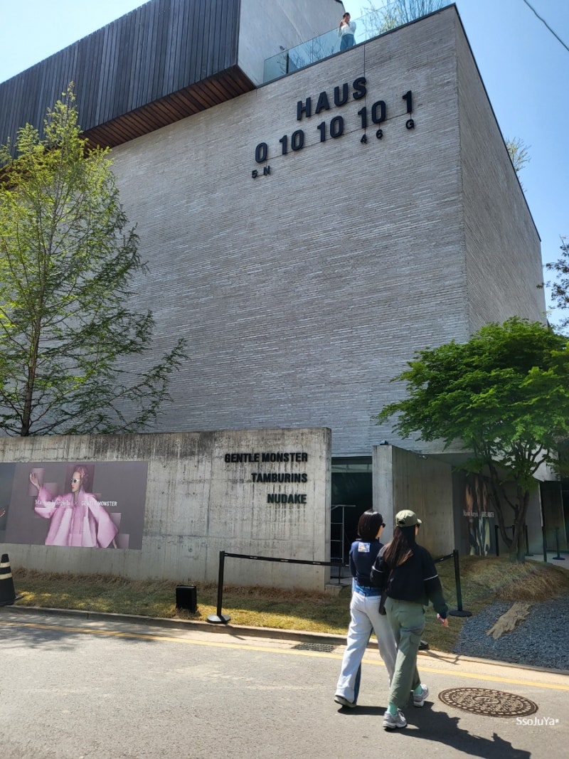 압구정 놀거리 하우스도산 젠틀몬스터 선글라스 안경테 종류가 가장 다양했던곳 네이버 블로그