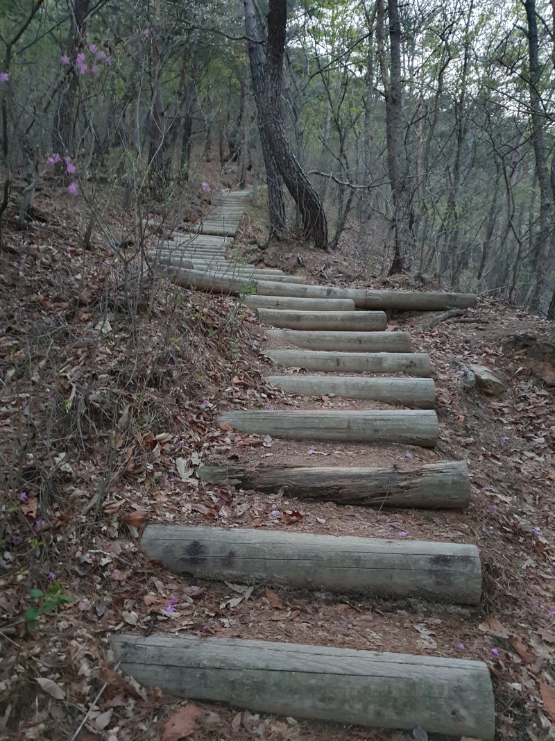 충청북도 괴산 칠보산 등산코스 큰바위코스 최단코스 주차정보 네이버 블로그