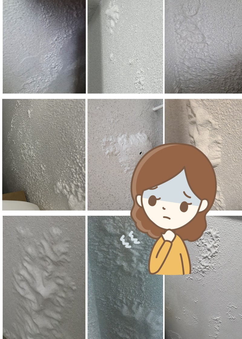 새 아파트 입주 전 베란다에 탄성코트 시공해도 될까요 단열이 되어 있으면 Ok 단열 누락 대피실 실외기실은 곰팡이 주의