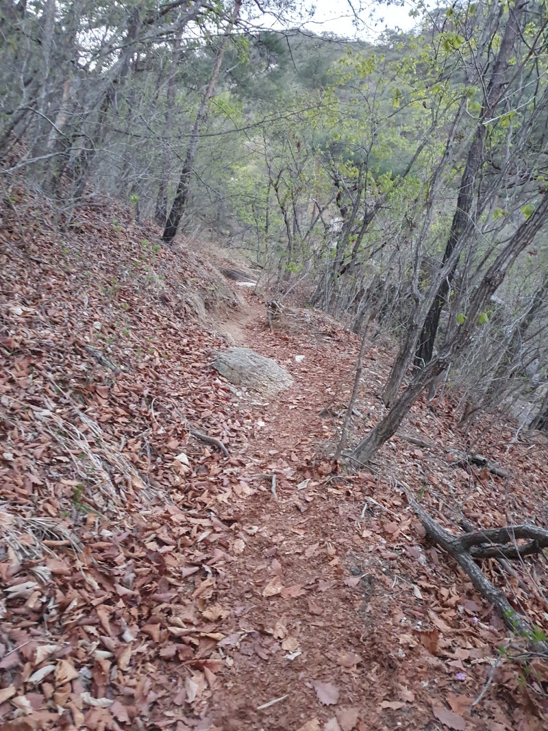 충청북도 괴산 칠보산 등산코스 큰바위코스 최단코스 주차정보 네이버 블로그