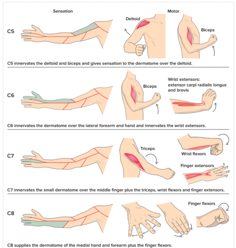 인천 VDT(Visual Display Terminal Syndrome)증후군 -서울안아픈세상의원 : 네이버 블로그