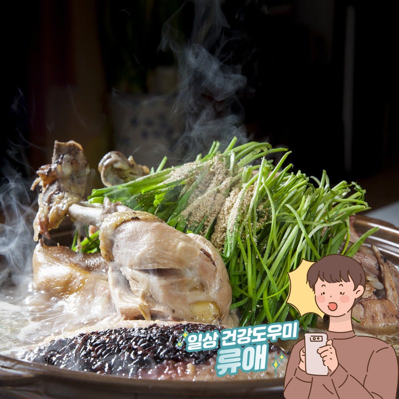 옻효능 및 옻 알레르기 대처 방법 옻닭옻나무 등 다양한 옻의효능 네이버 블로그