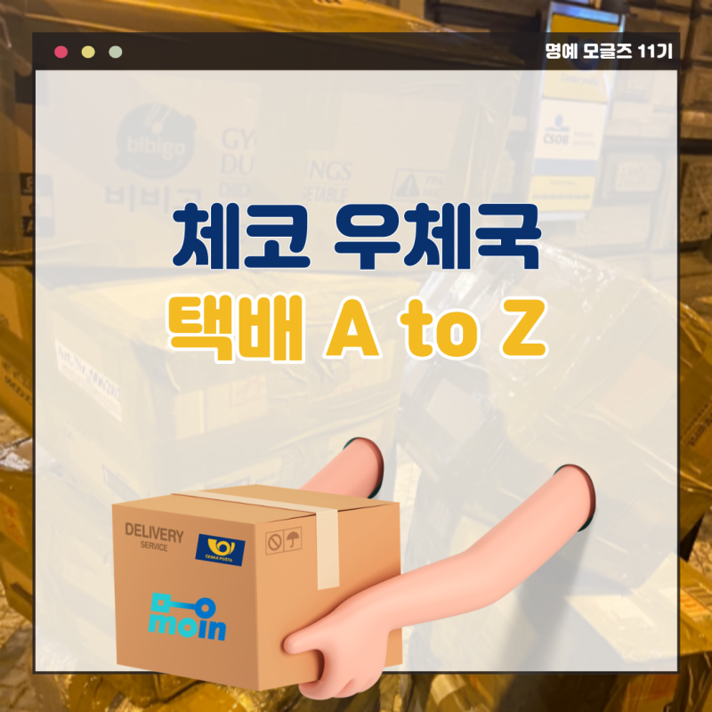 명예 모글즈 11기 체코에서 한국으로 우체국 택배 보내기 A To Z 이틀만에 우체국 4번 다녀와서 우체국 베테랑 된 후기