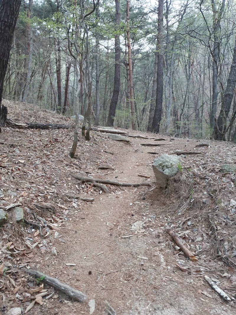 충청북도 괴산 칠보산 등산코스 큰바위코스 최단코스 주차정보 네이버 블로그