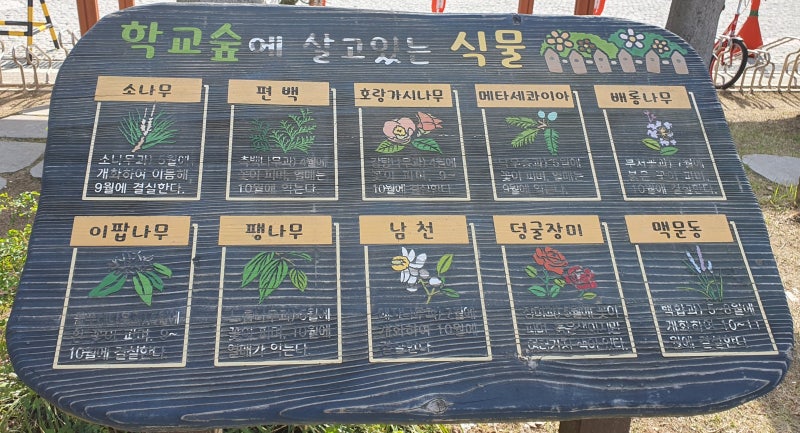 다양성과 존중을 실천하는 장애이해교육 전주하가초등학교병설유치원 김은주강사 네이버 블로그