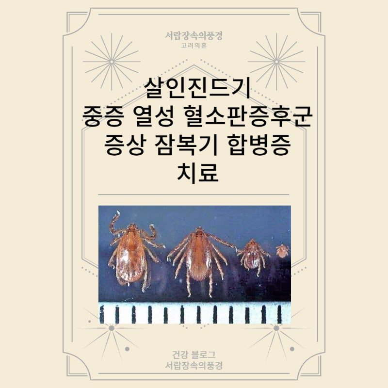살인진드기 Sfts 증상 잠복기 합병증 치료 중증 열성 혈소판 감소 증후군 증상 합병증 치료 예방법 네이버 블로그