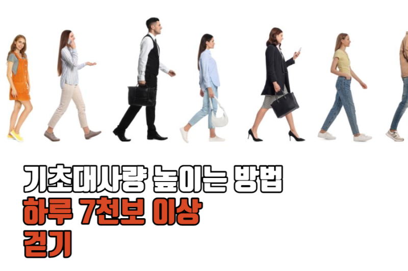 기초대사량 높이는 방법 Feat11가지 생활습관 네이버 블로그