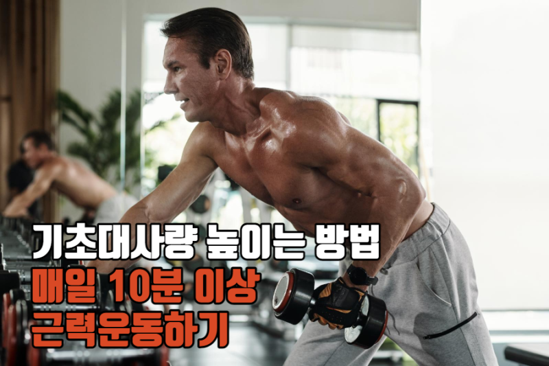 기초대사량 높이는 방법 Feat11가지 생활습관 네이버 블로그