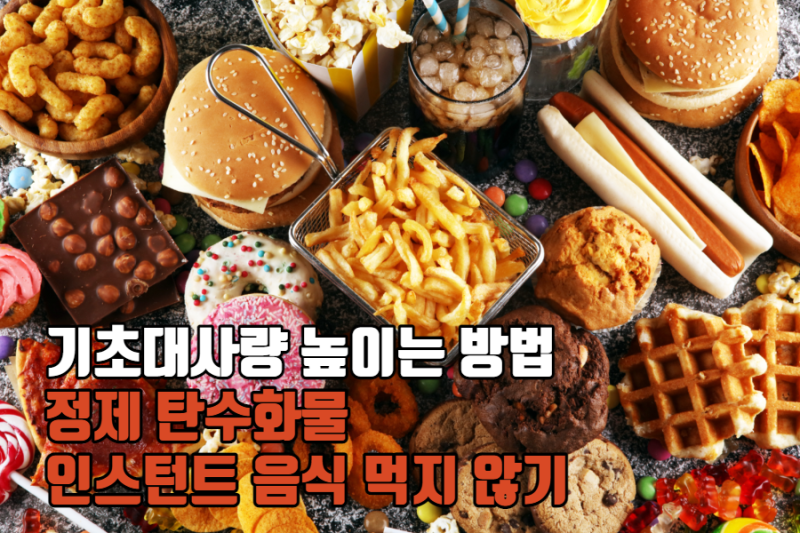 기초대사량 높이는 방법 Feat11가지 생활습관 네이버 블로그