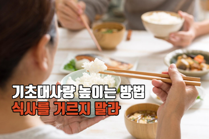 기초대사량 높이는 방법 Feat11가지 생활습관 네이버 블로그