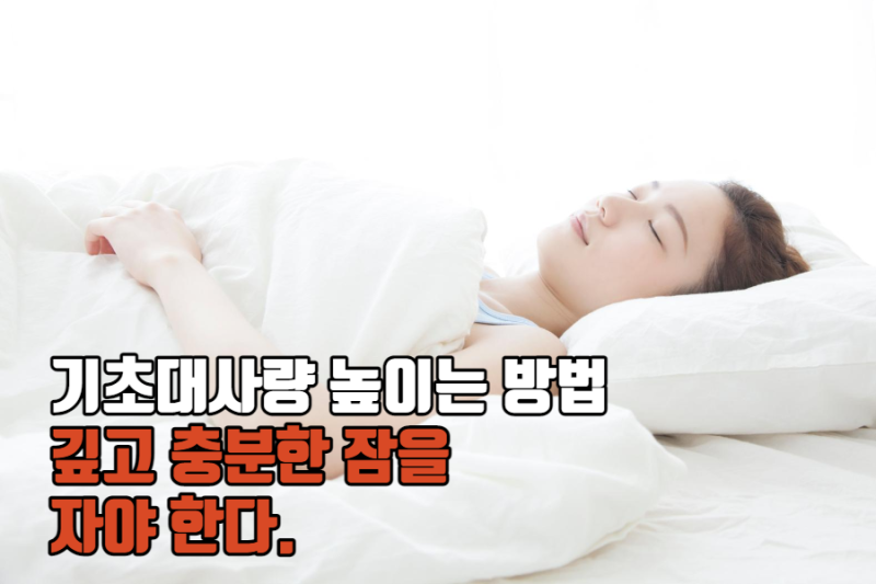 기초대사량 높이는 방법 Feat11가지 생활습관 네이버 블로그