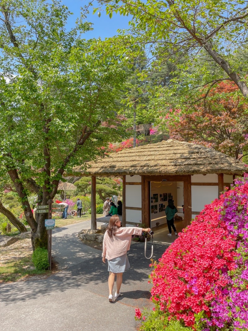 경기도 근교 당일치기 여행 4월 가볼만한 곳 볼거리 가득 가평 수목원 아침고요수목원 튤립 네이버 블로그