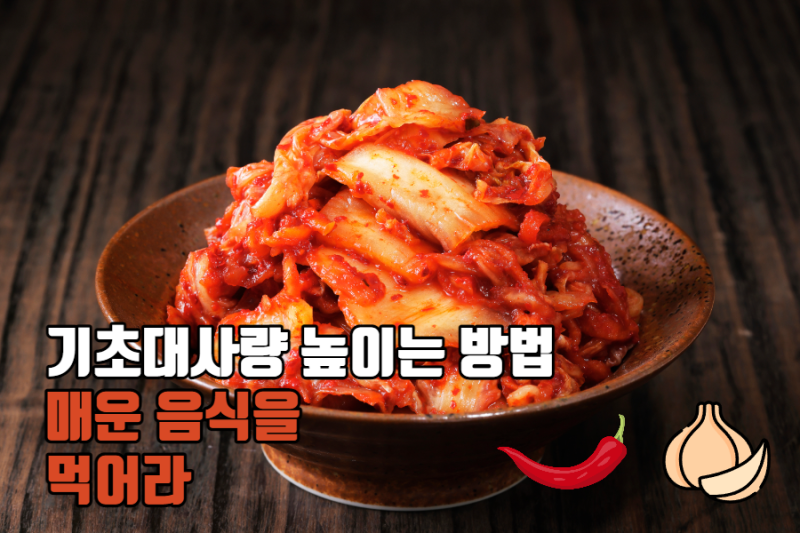 기초대사량 높이는 방법 Feat11가지 생활습관 네이버 블로그