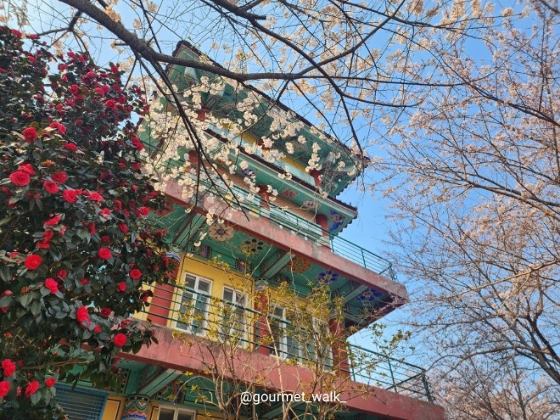 충남 태안 안면도 안면암 벚꽃 동백 성지 서해 바다 위를 걸어볼 수 있는 힐링가득 봄 추천 여행지 물때 보는법 주차