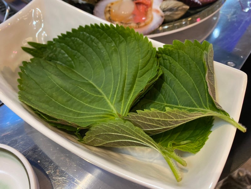 공릉역 맛집 공릉점 통영에서 바로 올라오는 해산물 맛집 네이버 블로그