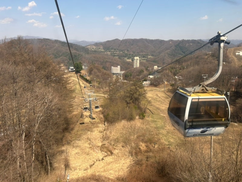 평창 여행 휘닉스파크 루지랜드 곤돌라 가격탑승 후기 네이버 블로그
