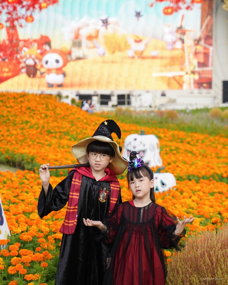 용인 에버랜드 큐패스 사파리 예약 방법ft야놀자 단독 구매 할인 네이버 블로그