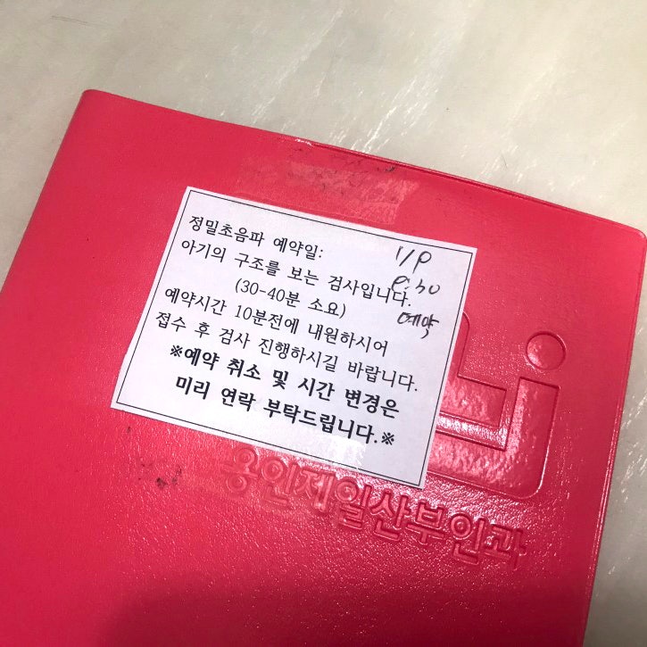 임신 17주 2차 기형아검사 시기 비용 결과 임산부 보건소 철분제 받기 네이버 블로그