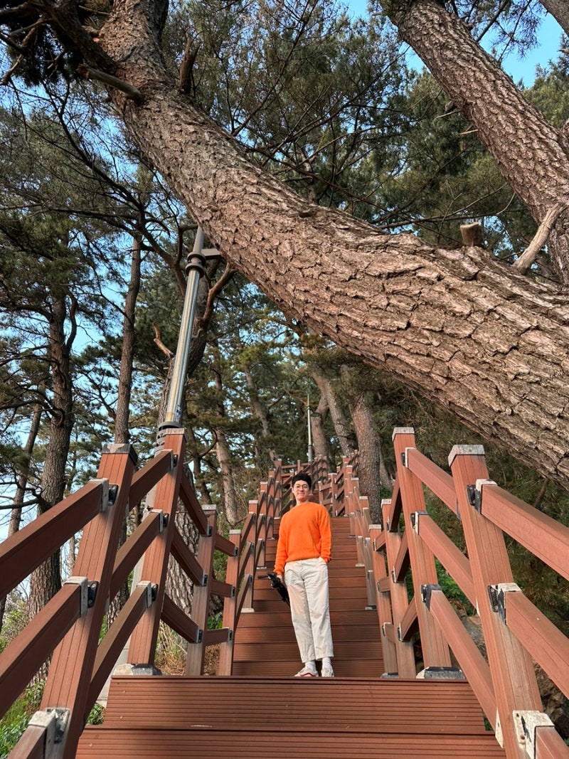 경북울릉 북면과 바다를 바라보며 일몰을 볼 수 있는 일몰전망대 ‘천부전망대 소요시간 울릉도가볼만한곳 울릉도일몰명소