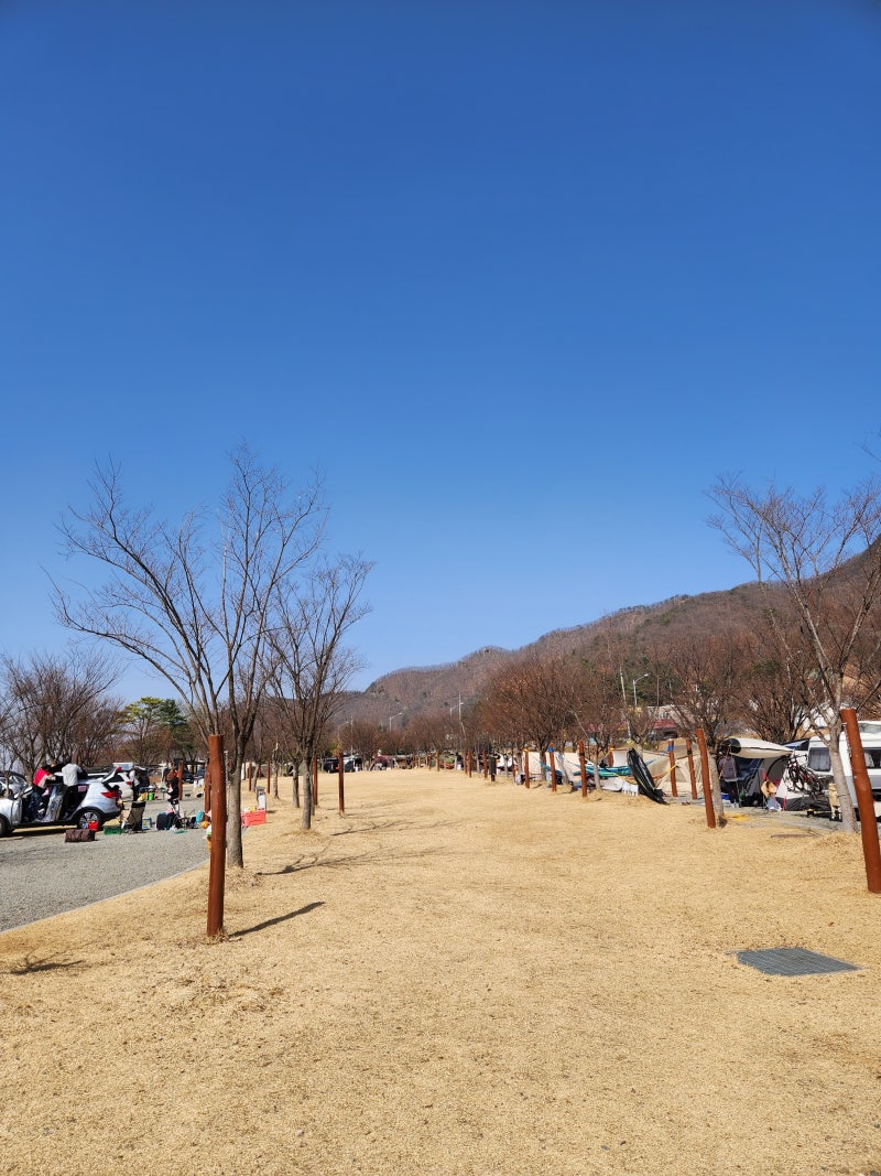 연천재인폭포오토캠핑장 나이스 명당 예약팁 네이버 블로그
